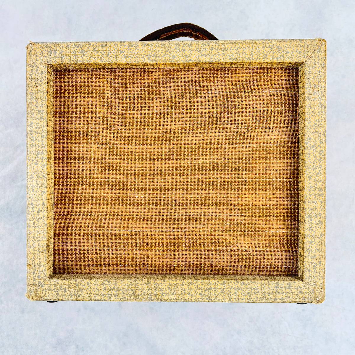 Lectrolab Sound Projects Model R200B 1x8" Combo Amplifier 1962 - Cream ...